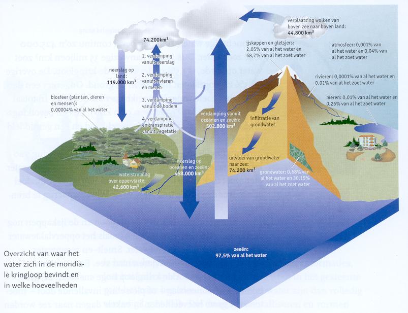 Watercycle Song - Onderwijs van Morgen