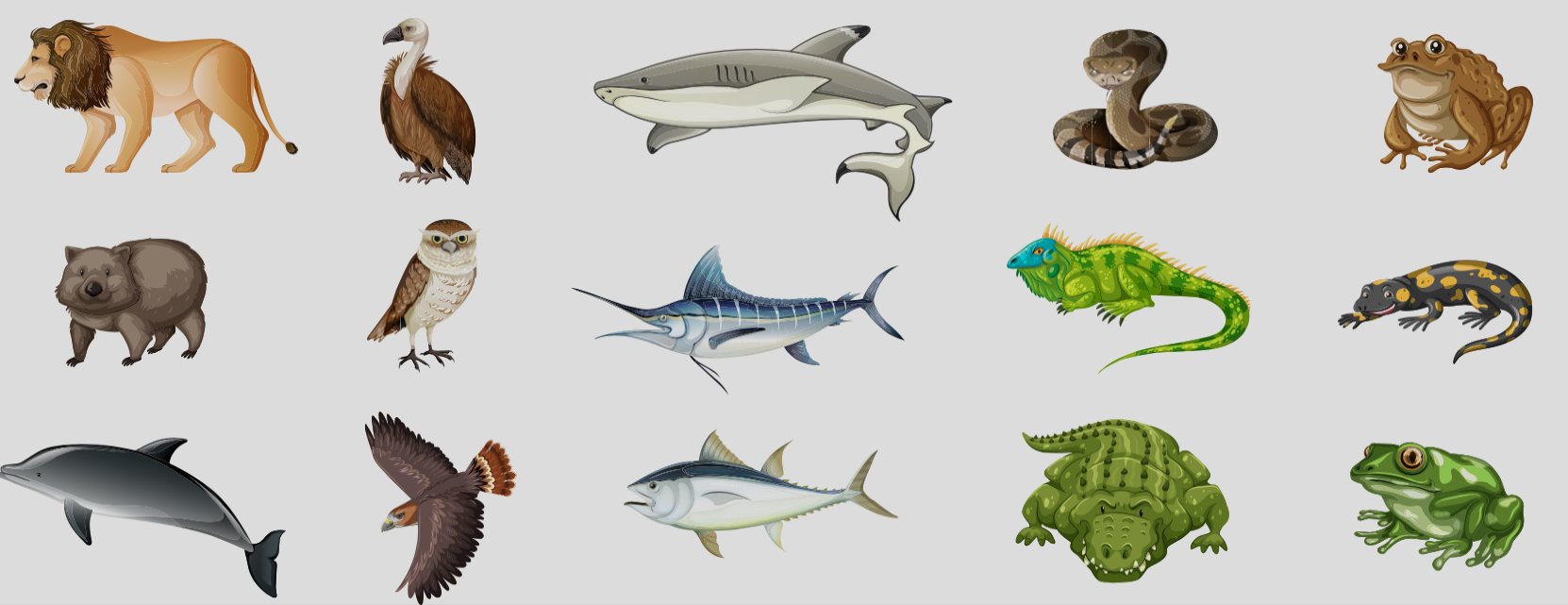 Kruiswoordpuzzel gewervelden - Onderwijs van Morgen