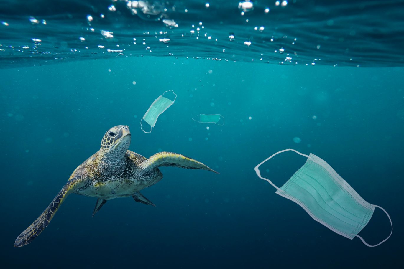 Rubbish - Onderwijs van Morgen