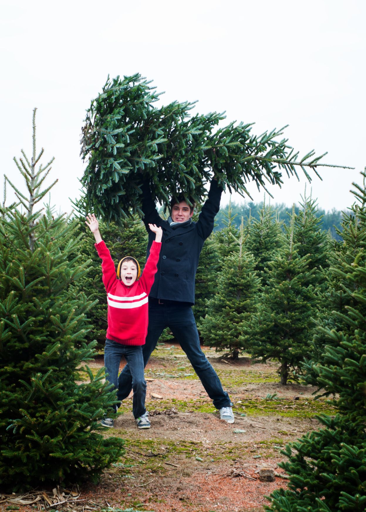 Touching Wood - Onderwijs van Morgen