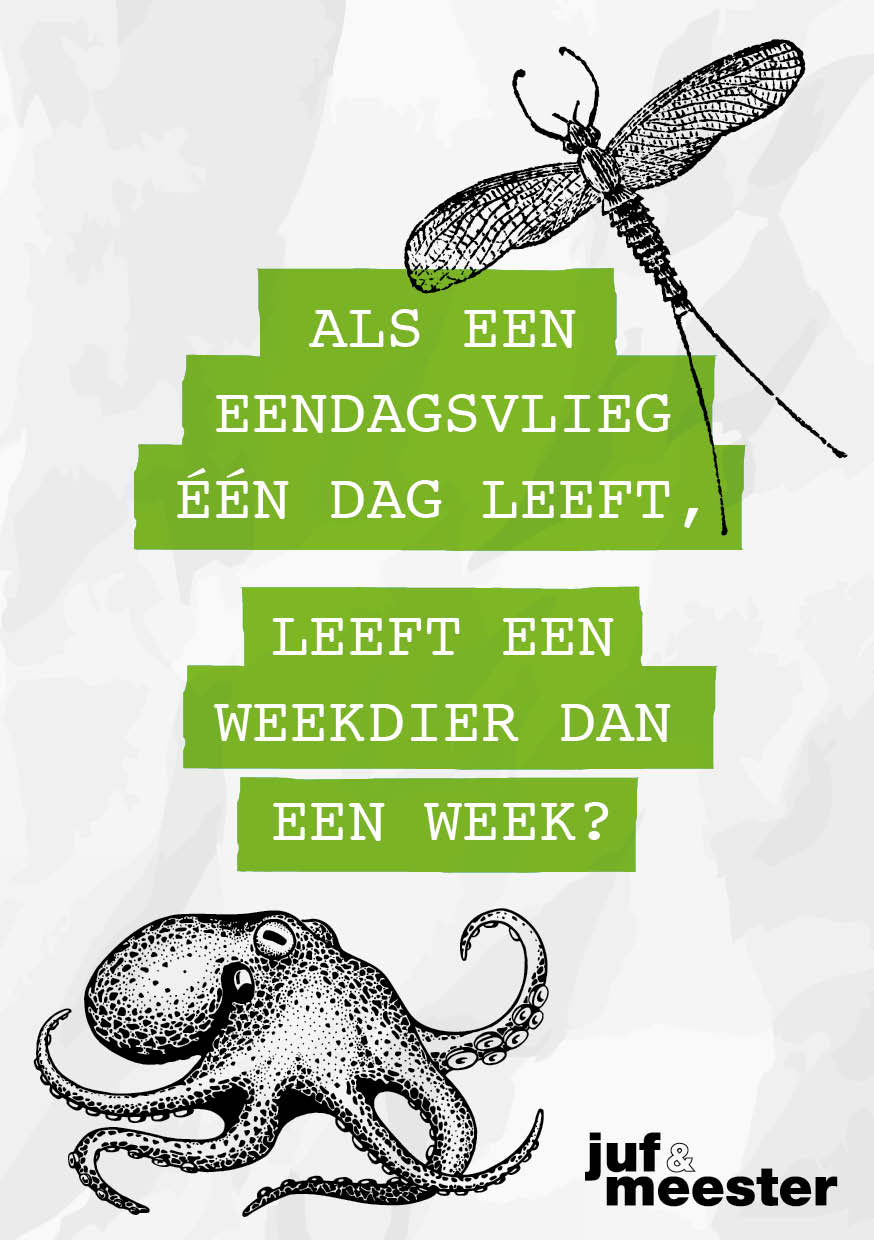 Kinderpraatje: weekdier - Onderwijs van Morgen