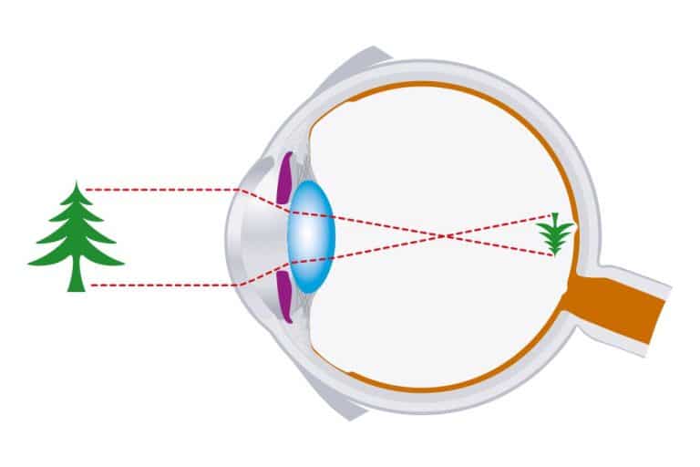 Met het blote oog - Onderwijs van Morgen
