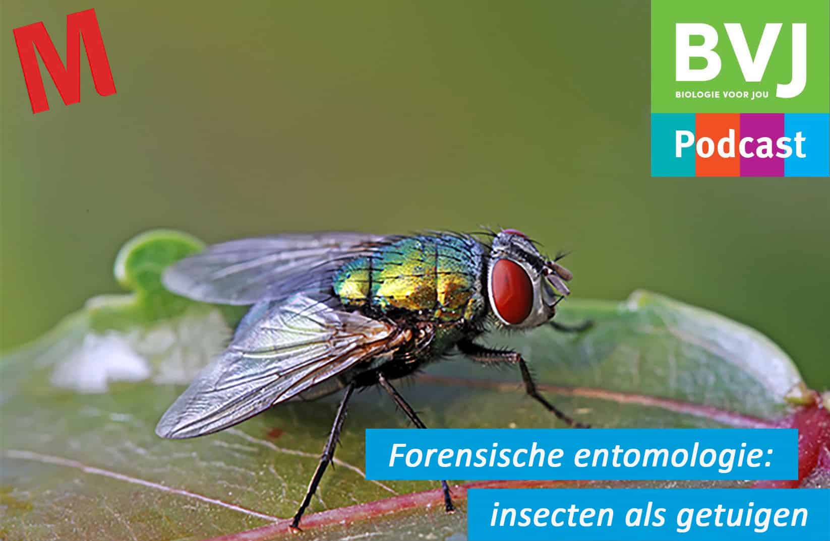 Biologie VO - Onderwijs van Morgen