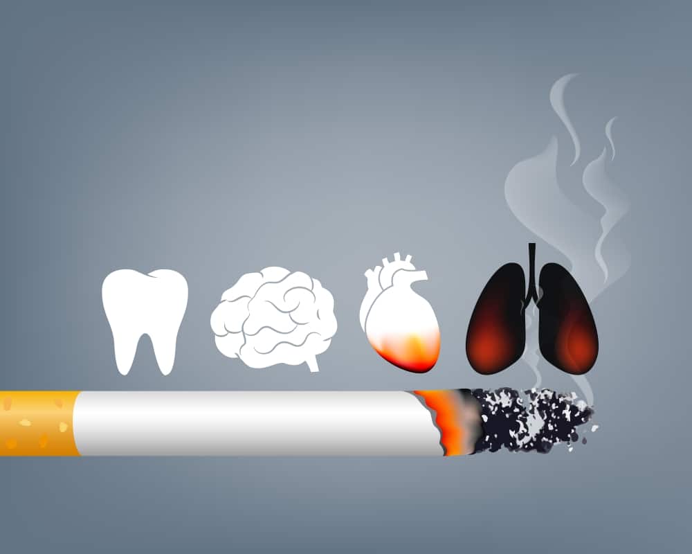 Waarom zijn vapen en roken niet verboden? - Onderwijs van Morgen
